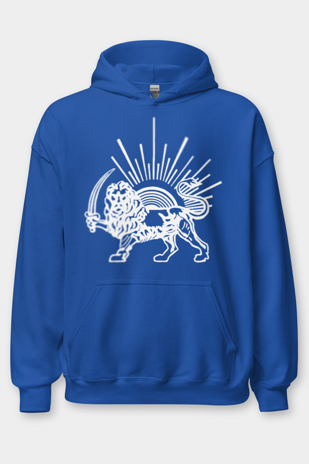 Spray Print Art Shir Khorshid 2.4 Basic Hoodie